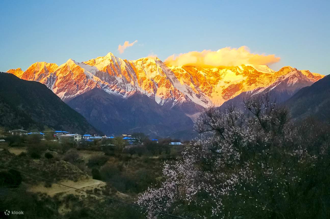[Foreign Guests Only] 7-Day Tour in Lhasa, Nyingchi and Shigatse, Tibet ...